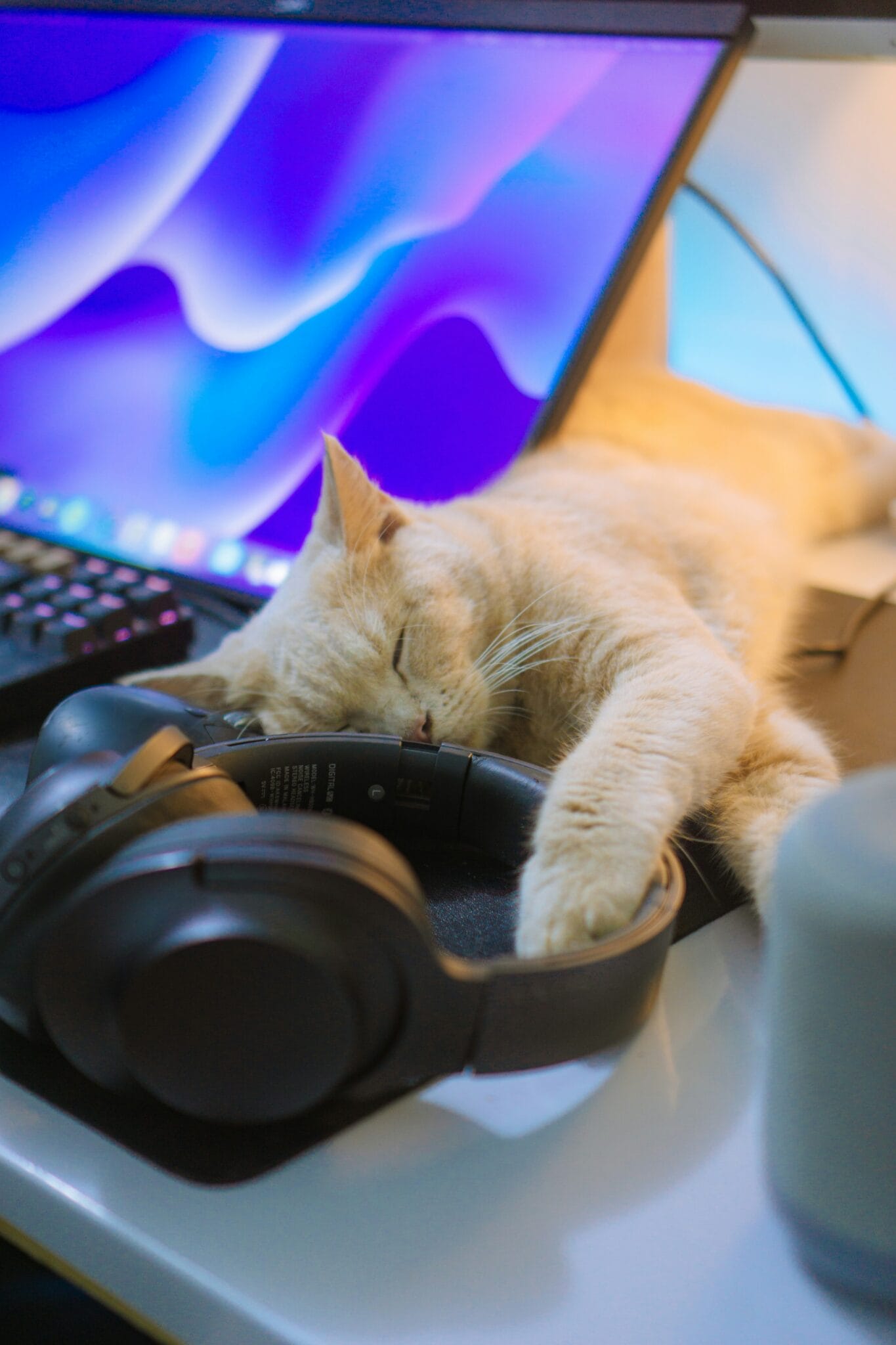 10 proven ways to become less productive - rjema.com